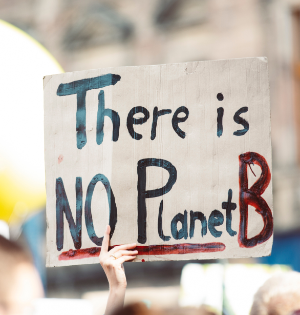 Sports & Environment: 17 eco-friendly initiatives